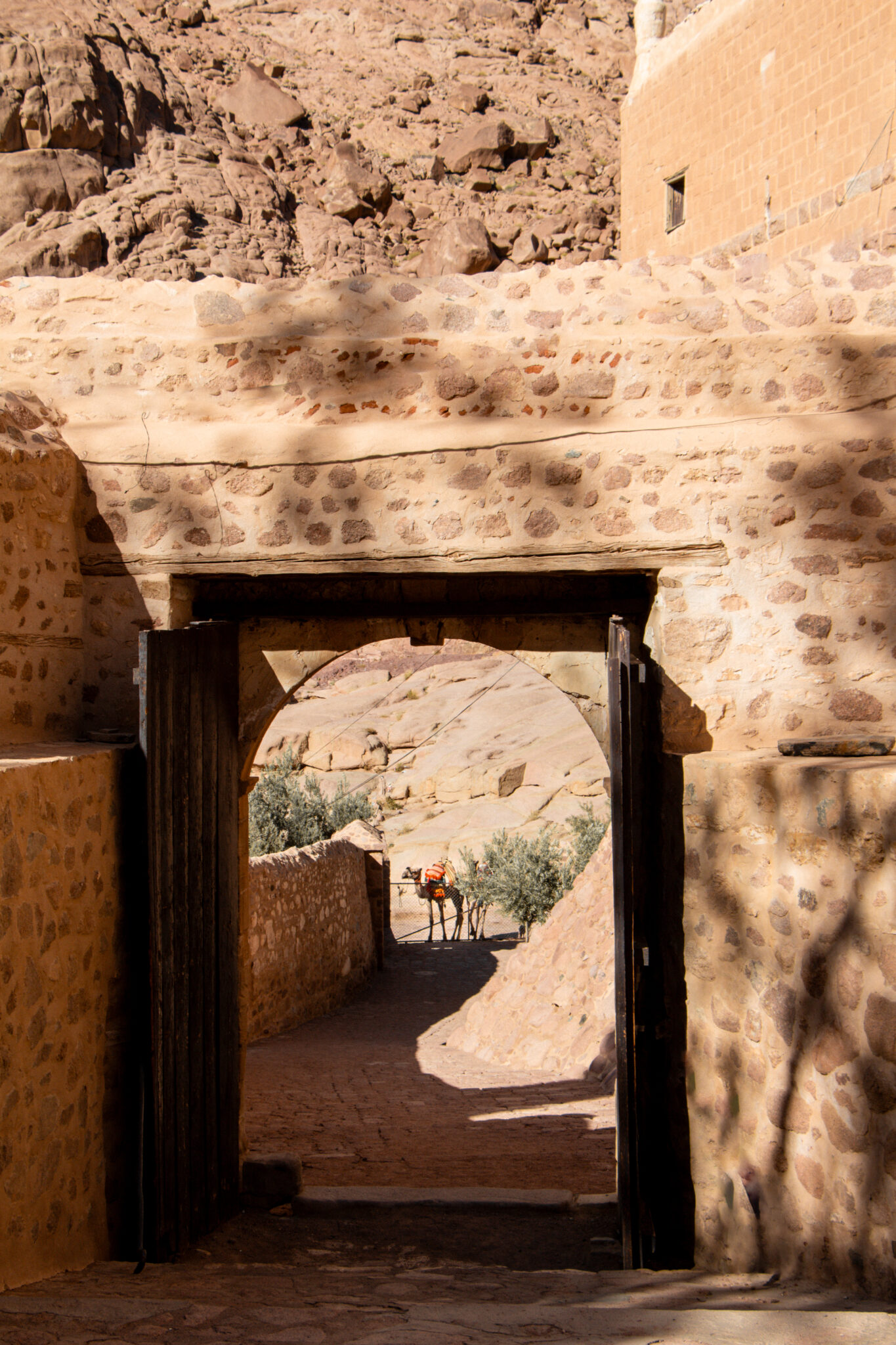 Hiking Mt. Sinai: Our Experience and What You Should Know